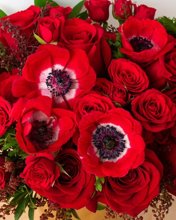 Special Occasion Flowers | Same Day Delivery | Scotts Flowers NYC