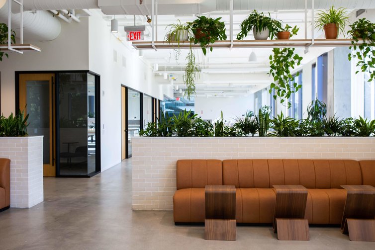 Therapist Zoom Backgrounds | SimplePractice™