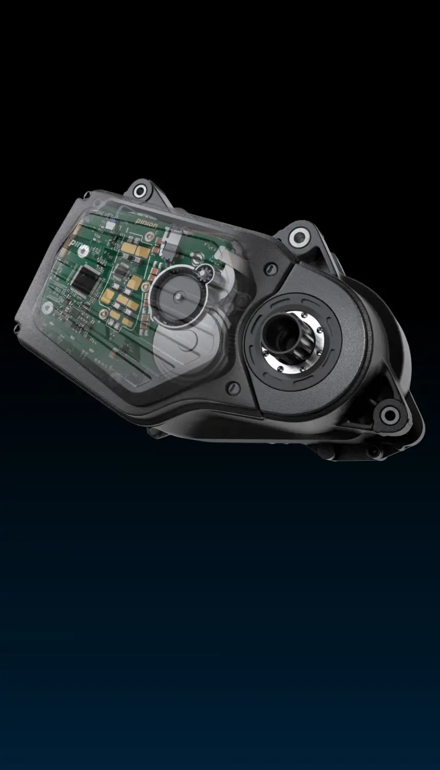 Pinion E-Drive System | Tout Terrain