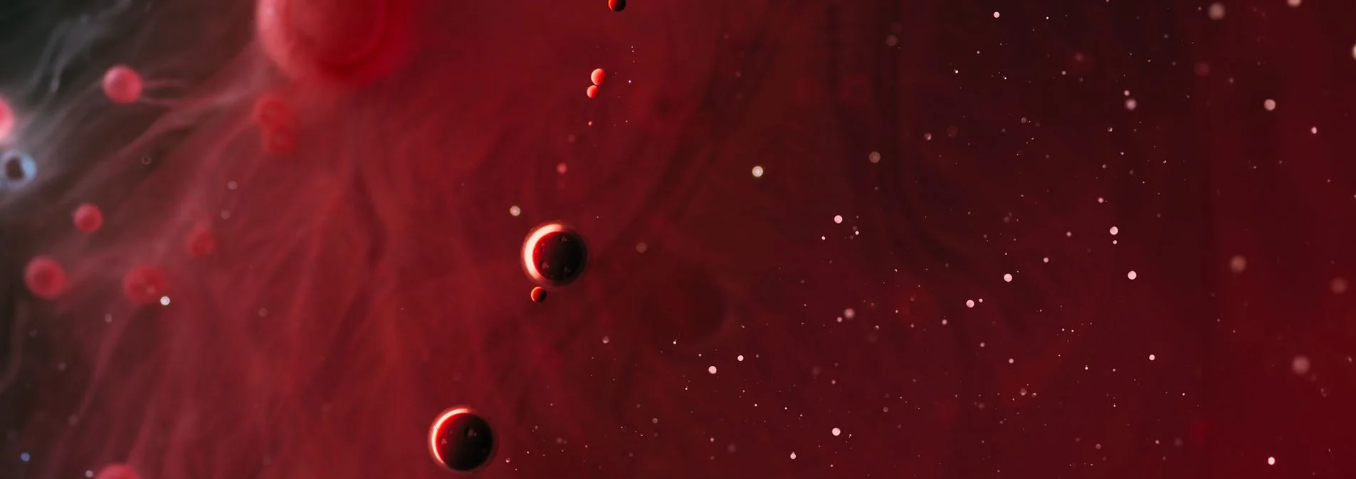 The 5 Best Supplements for Blood Flow, According to a Dietitian