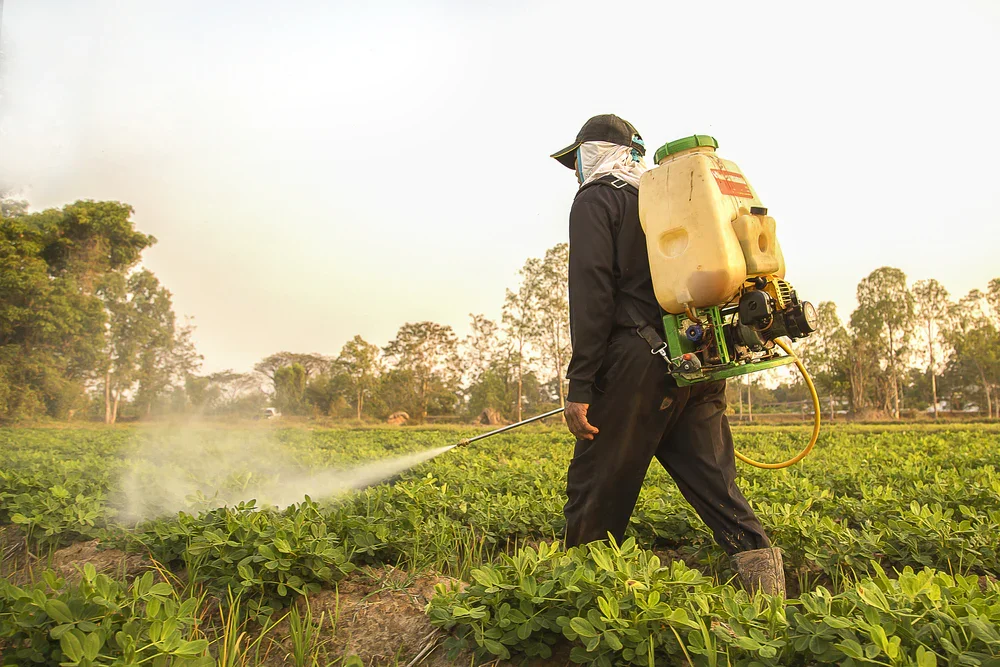 Soy 101: The Dangers and Side Effects – NativePath