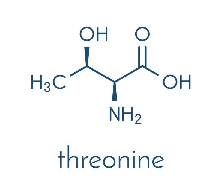 Threonine: 7 Important Health Facts to Know About This Essential Amino Acid