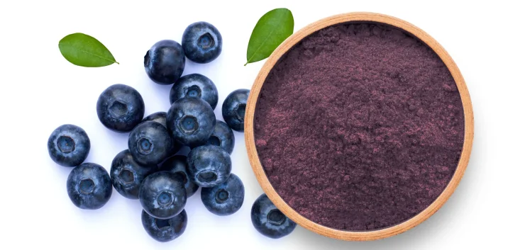 Blueberry Powder: Is It As Healthy As Fresh Blueberries?