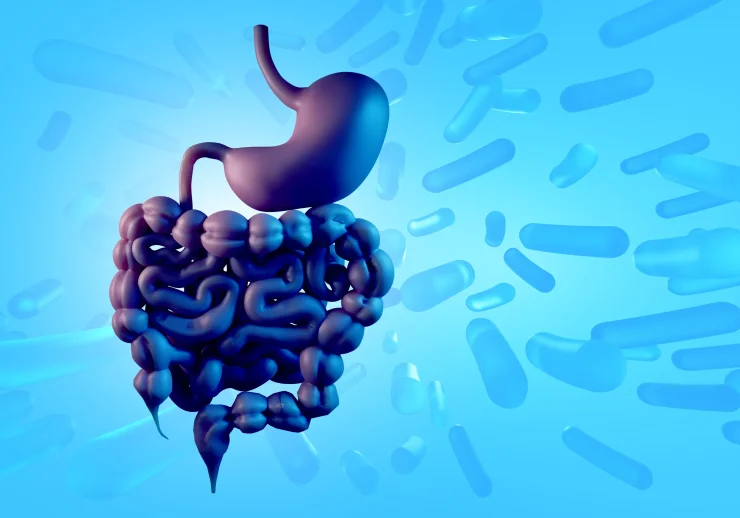What Happens When You Stop Taking Probiotics? – NativePath