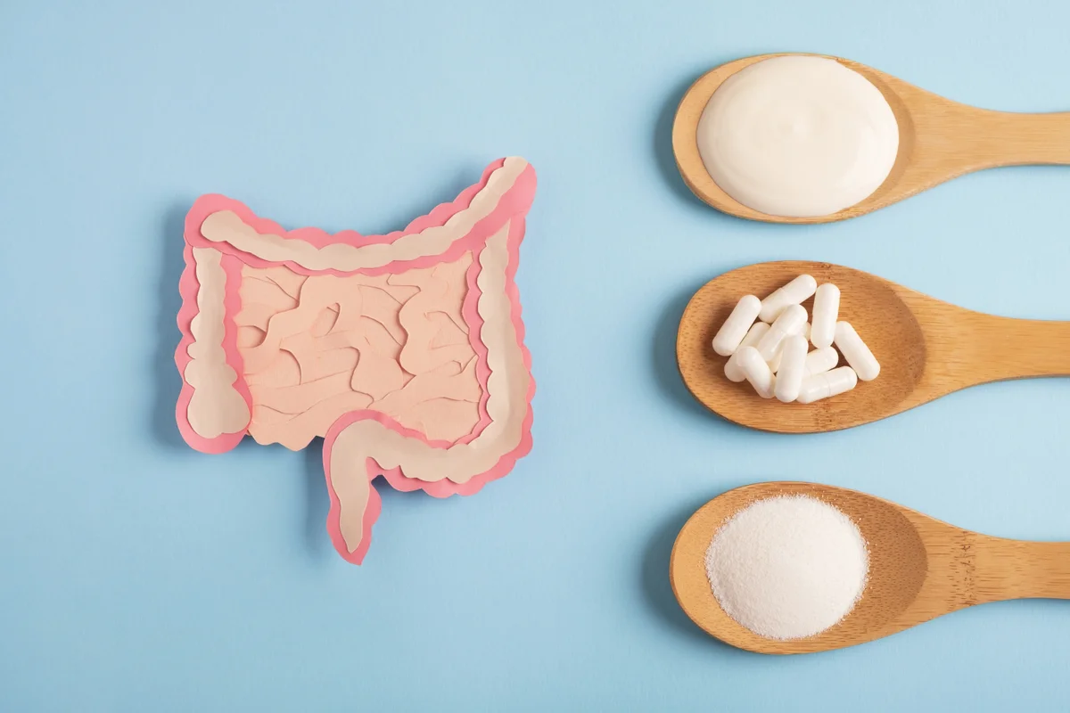 10 Most Common Probiotic Strains + Plus Their Health Benefits, Explained