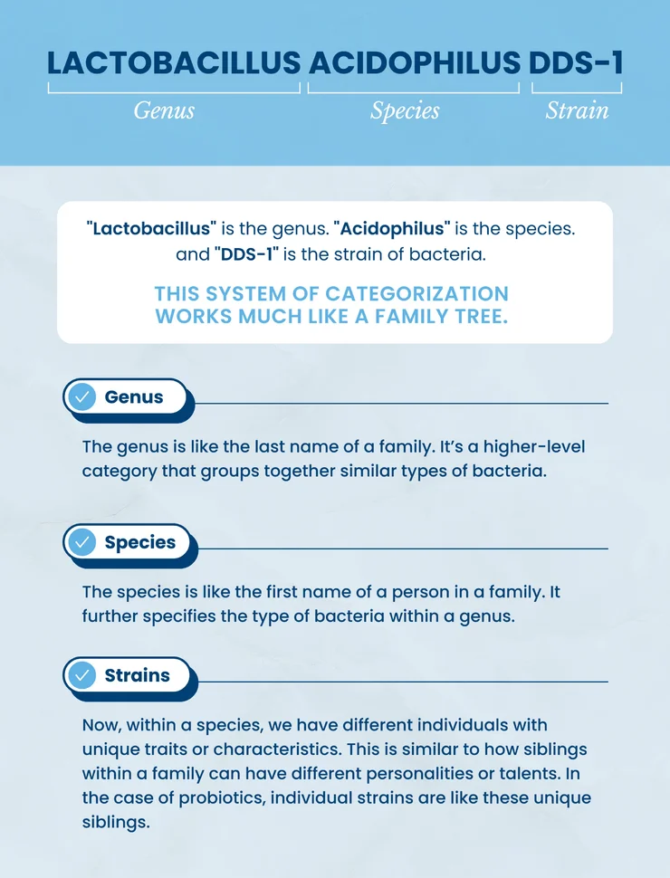 10 Most Common Probiotic Strains + Plus Their Health Benefits, Explained