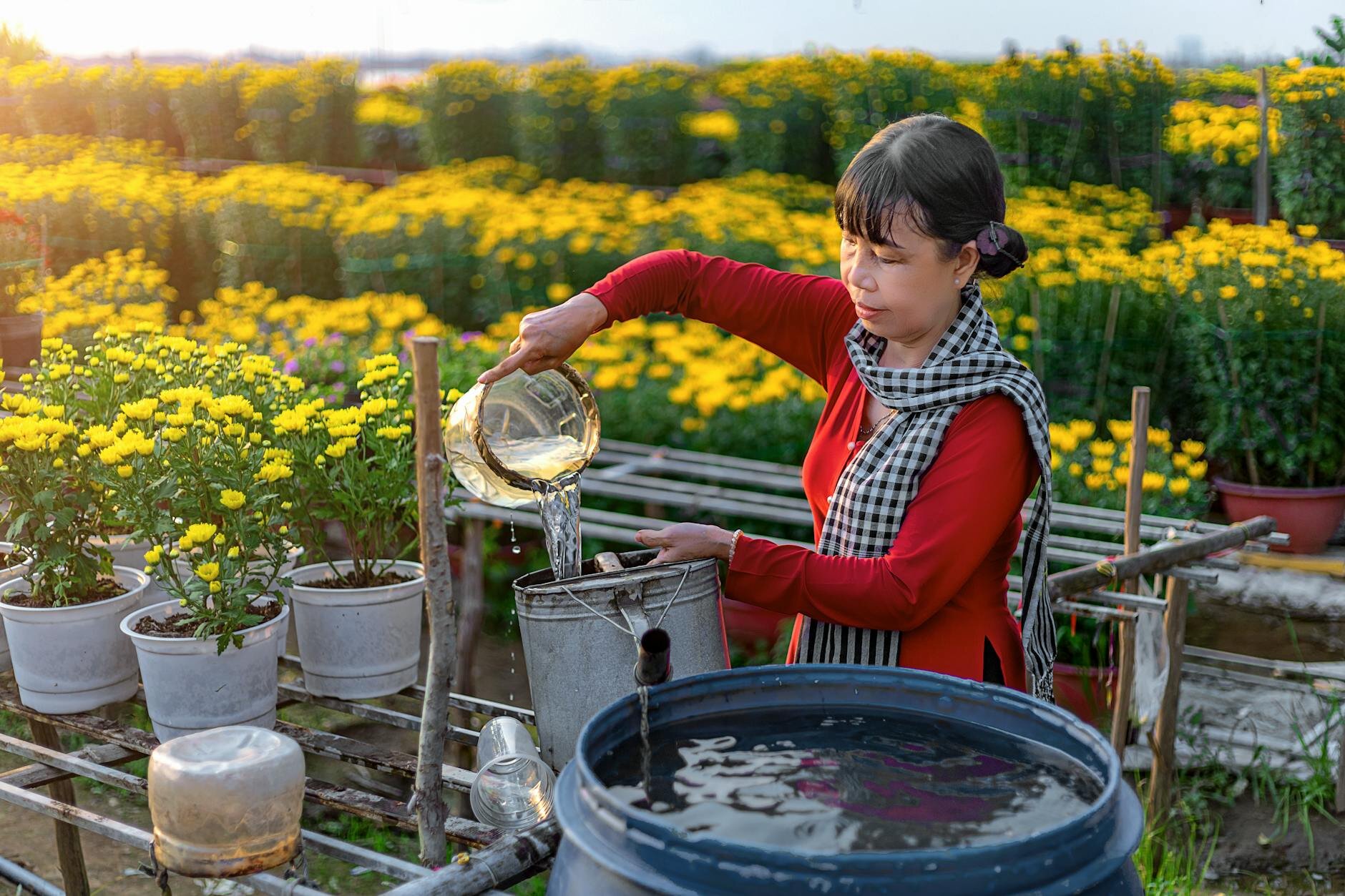 Effective Watering Methods for a Thriving Garden