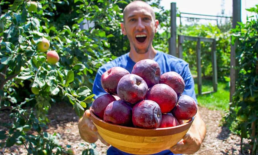 7 Tips for Growing Apples in the Garden: Discover the Most Disease ...