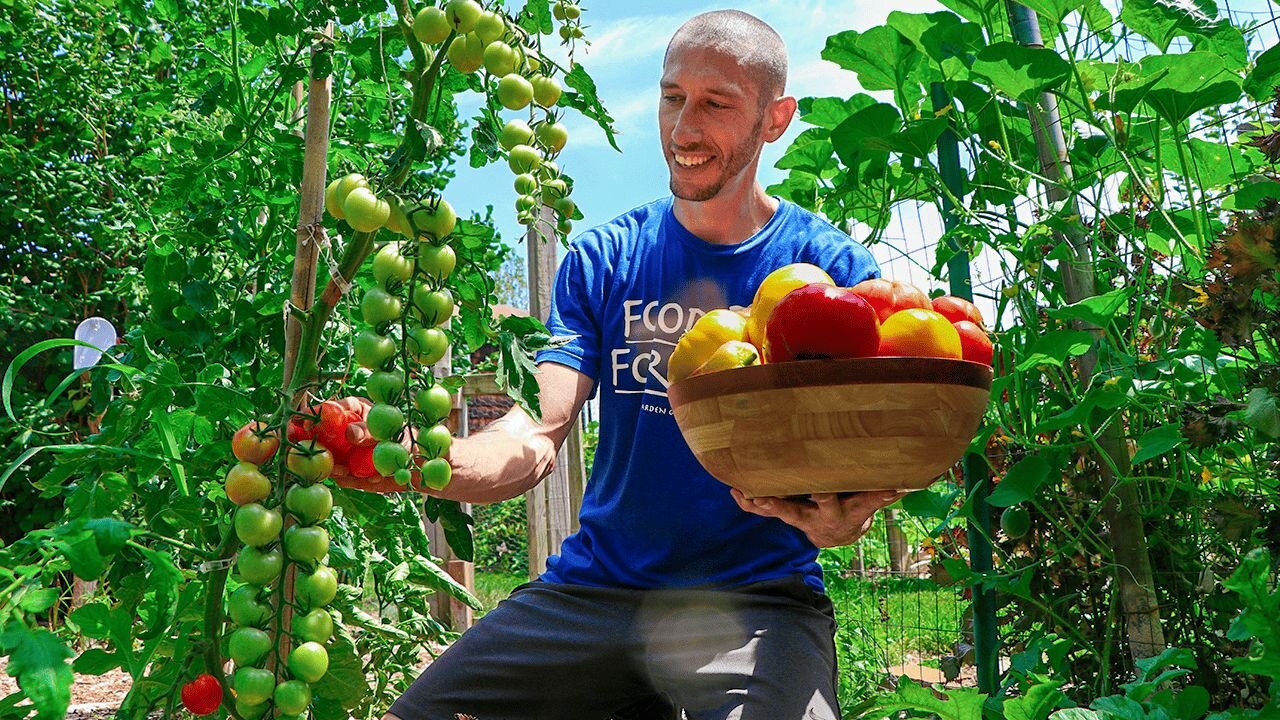 The Ultimate Guide to Garden Harvesting: Maximize Your Vegetable Yields