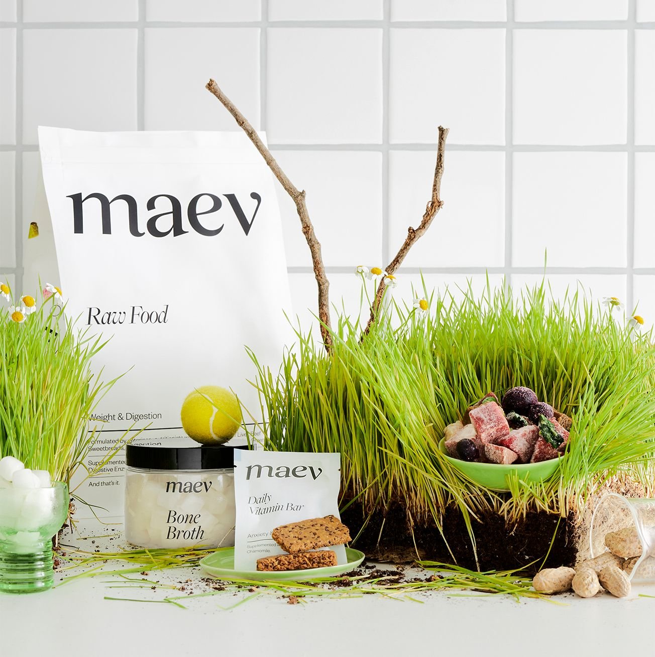 Maev | Raw dog food made easy.