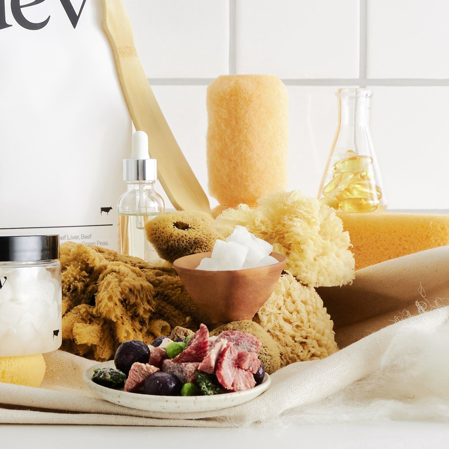 Maev | Raw dog food made easy.