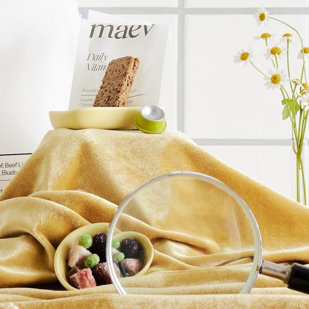 Maev | Raw dog food made easy.