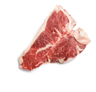 Maev | Raw dog food made easy.