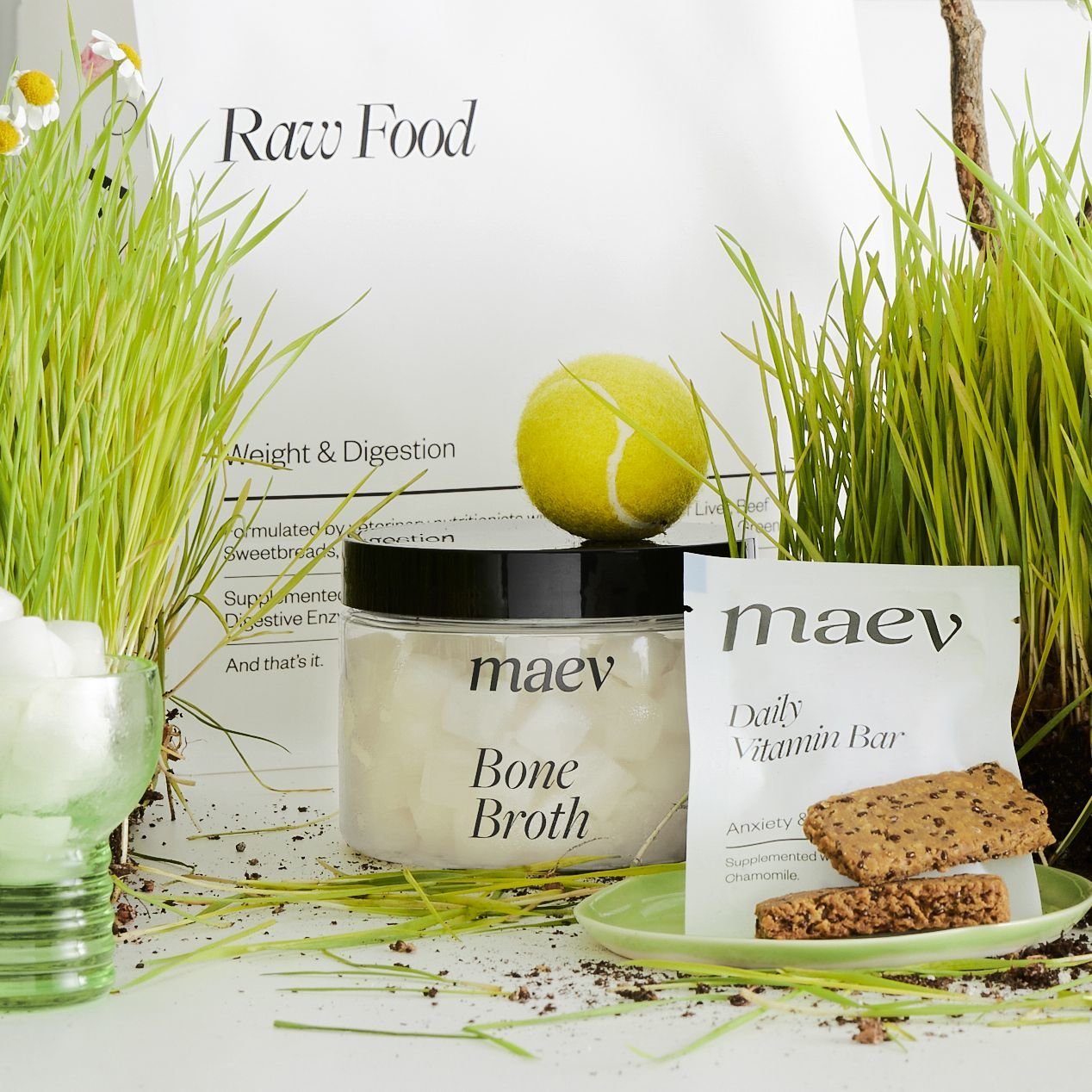 Maev | Raw dog food made easy.