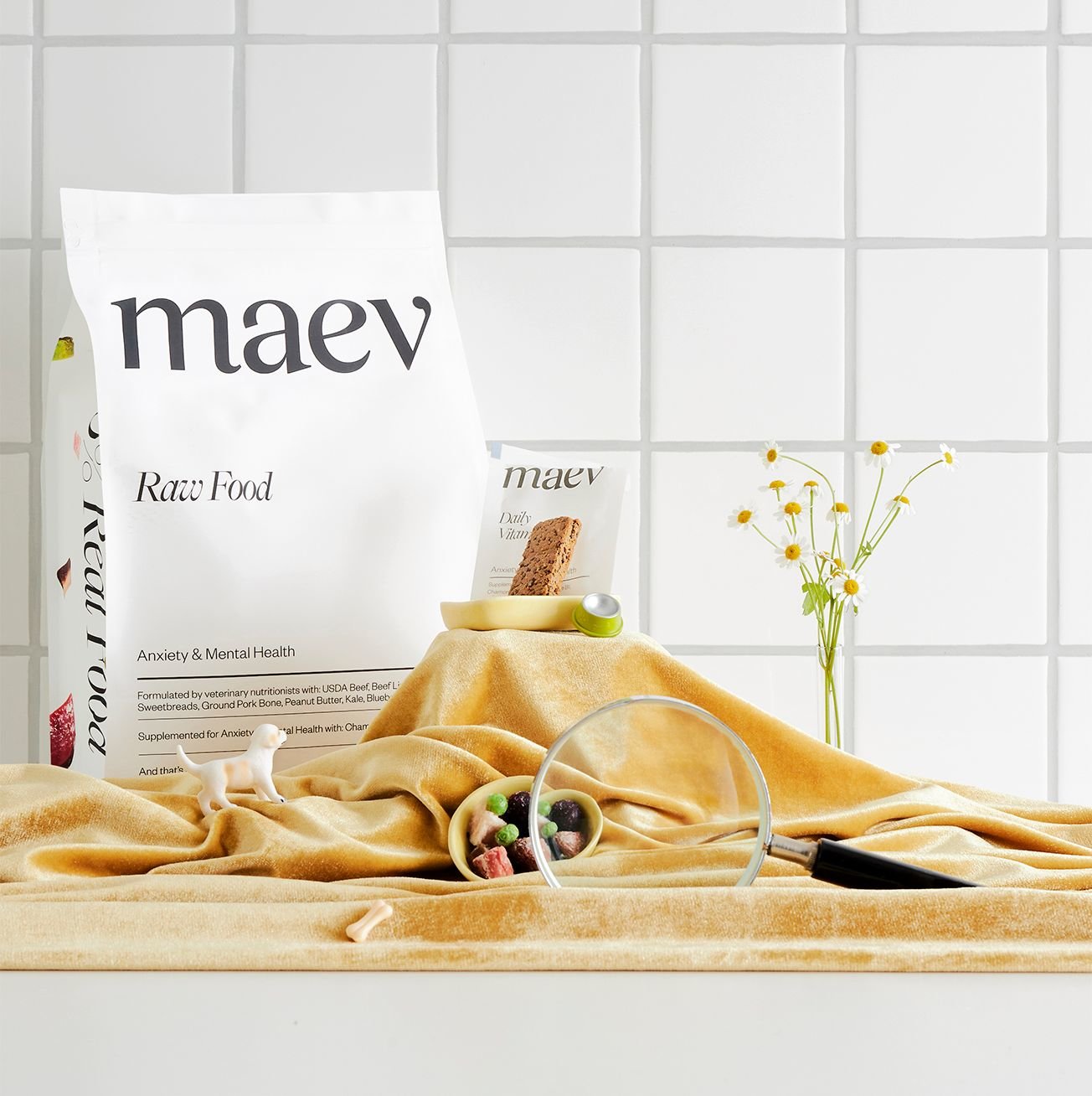 Maev | Raw dog food made easy.