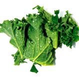 Maev | Raw dog food made easy.