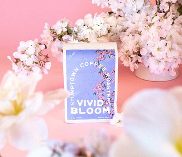 Vivid Bloom | Unique Coffee Blends & 2025 Coffee Offer | Stumptown ...