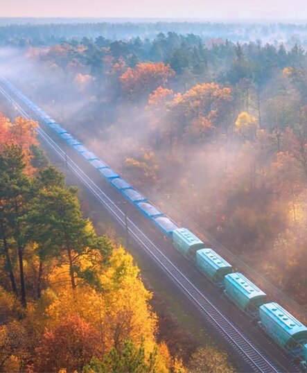 First Specialty XS - Home