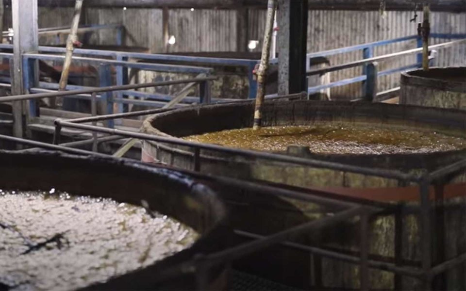 How is rum made? | Rum Guide | Master Of Malt