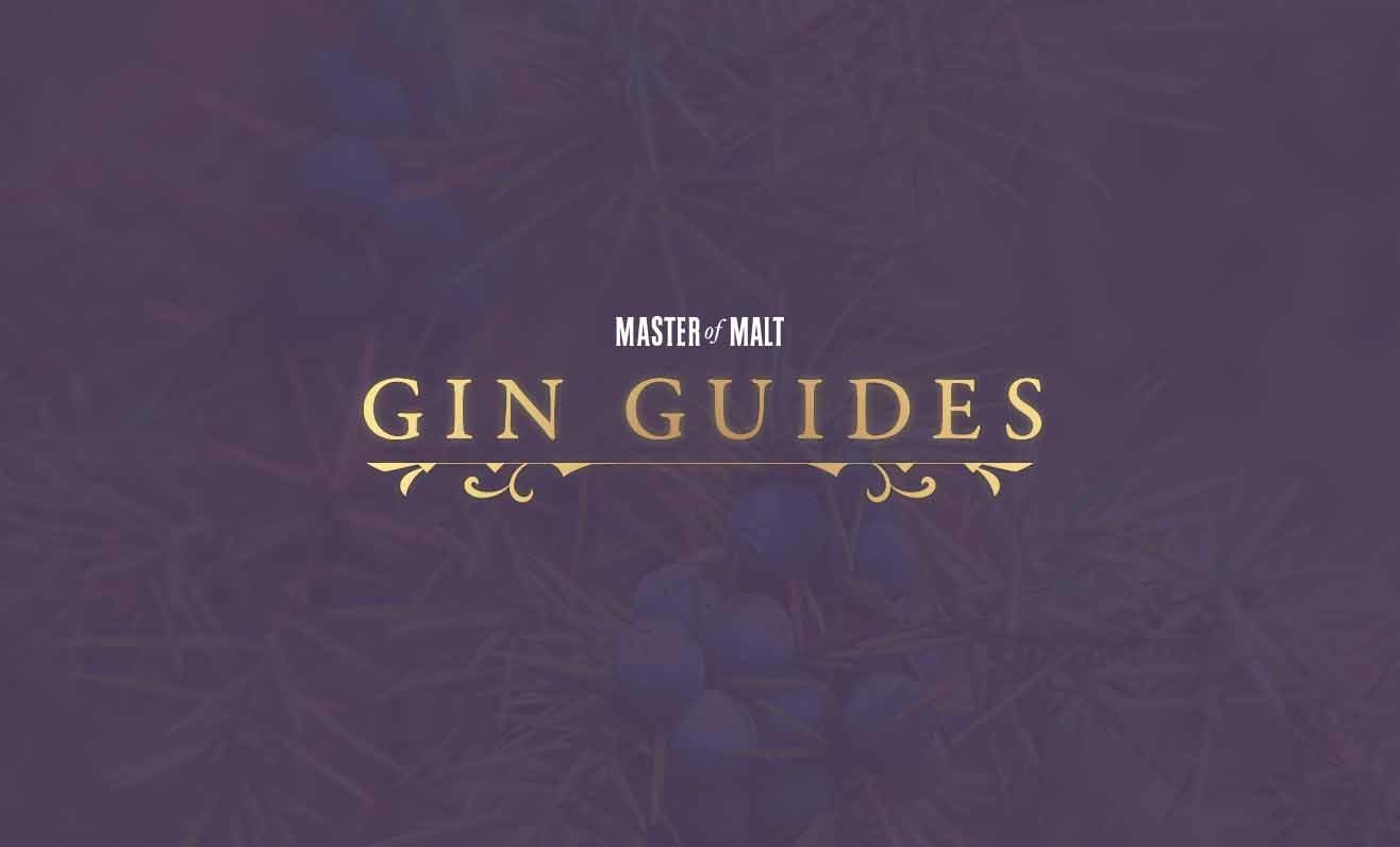The Ultimate Gin Guide | Master Of Malt