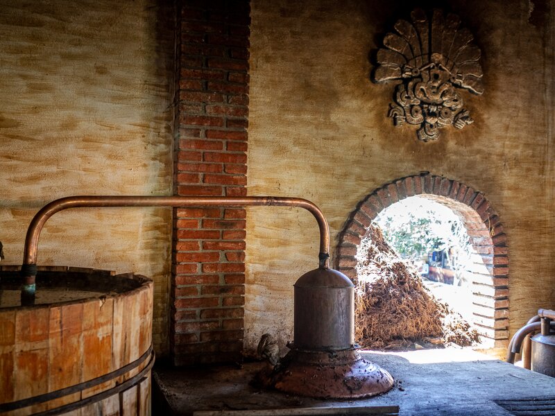 How is Mezcal made? | Mezcal Guide | Master Of Malt