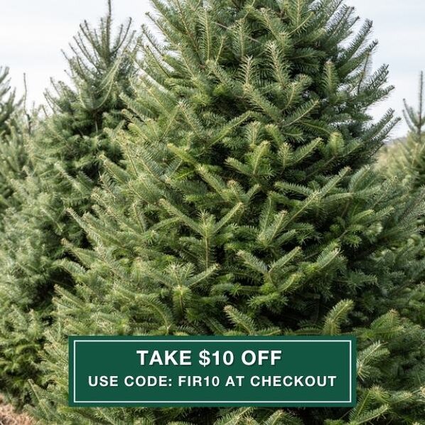 Hicks Nurseries Essentials for the Home and Garden | Hicks Nurseries