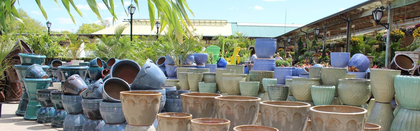 Indoor and Outdoor Pots