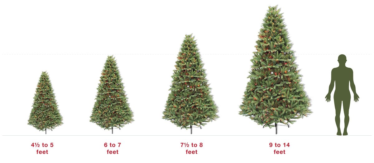 Christmas Tree Buying Guide