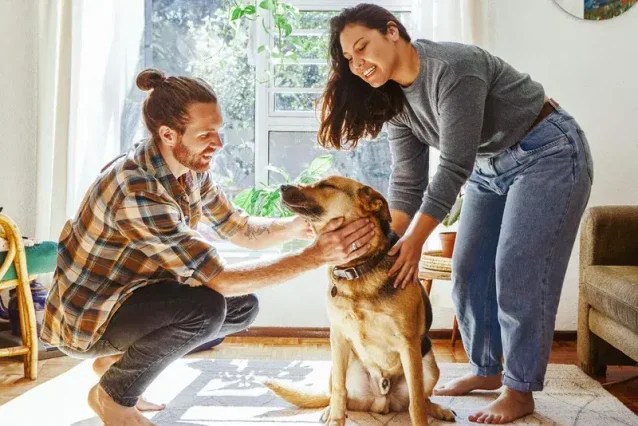 Dog Insurance Plans for Your Pet | Top Rated | Get a Quote | Spot Pet ...