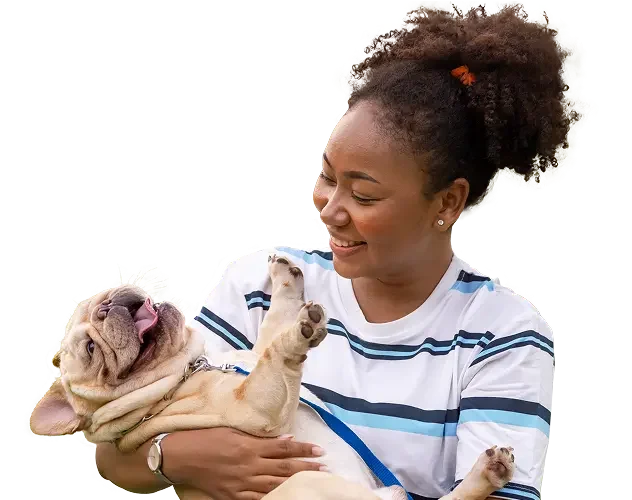 Dog Insurance Plans for Your Pet | Top Rated | Get a Quote | Spot Pet ...