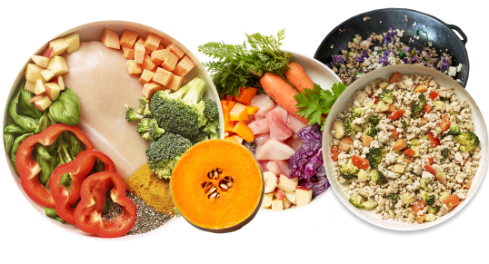 Fresh Cooked Dog Food | Different Dog | Different Dog