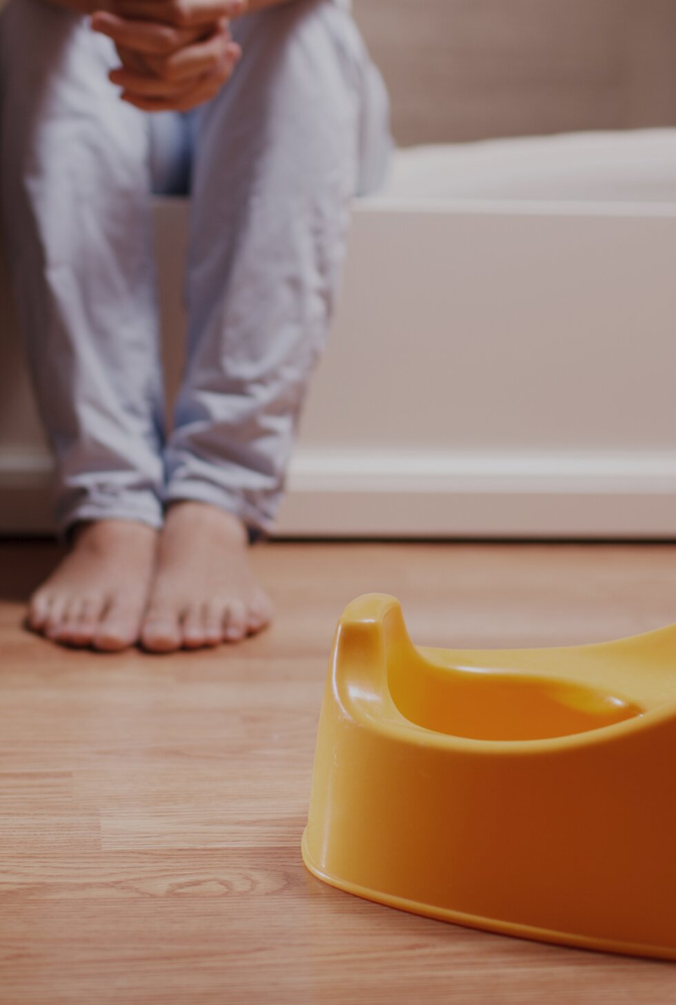 Access our Potty Program for FREE - Good Inside