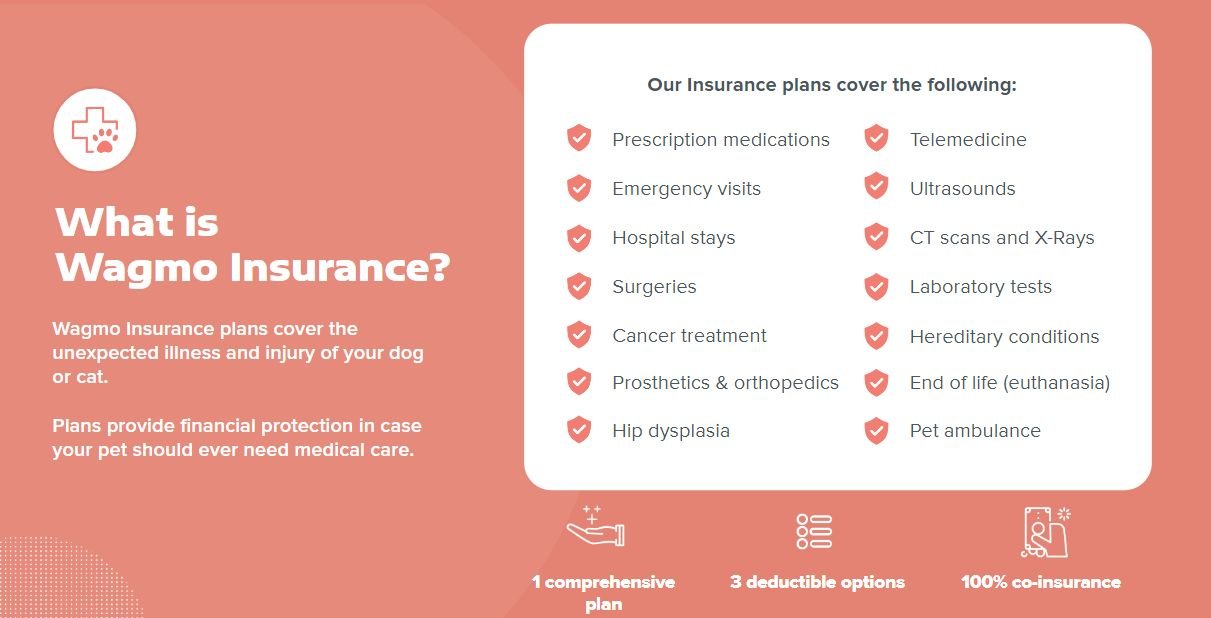 An infographic showing Wagmo's comprehensive pet insurance coverage
