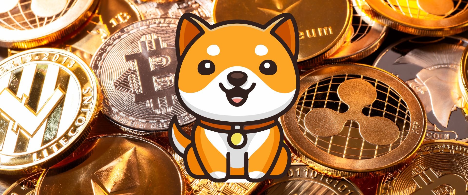 Baby Doge Binance: entenda como funciona e como comprar