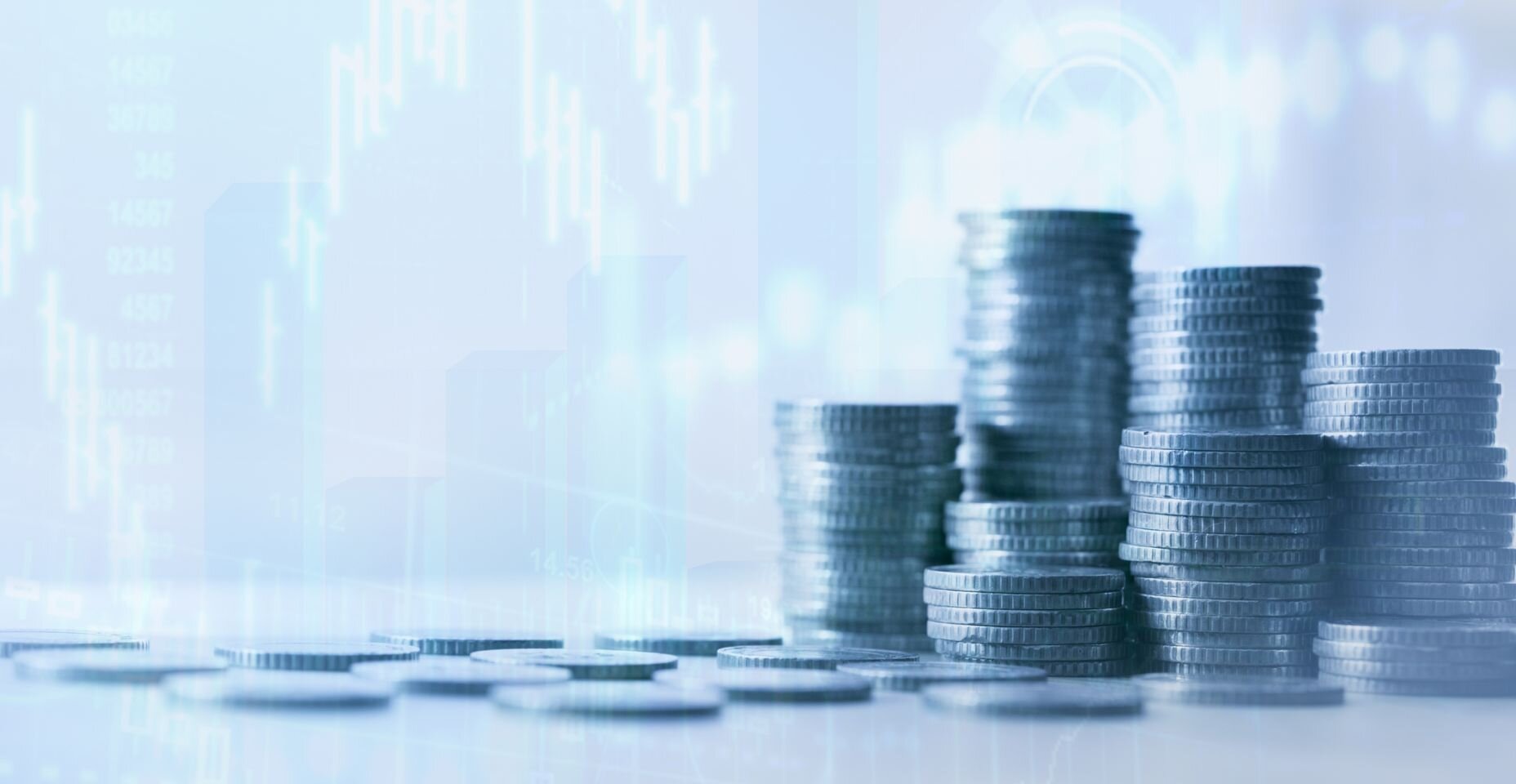 Entenda o que são ativo líquido e passivo líquido | Blog Educação ...