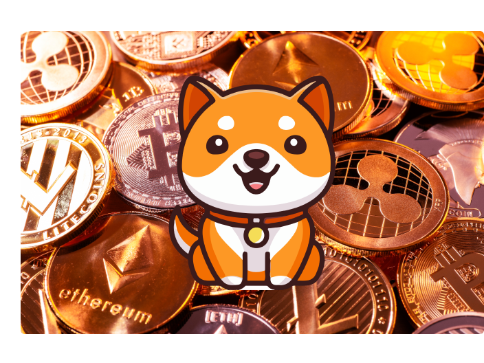 Baby Doge Binance: entenda como funciona e como comprar