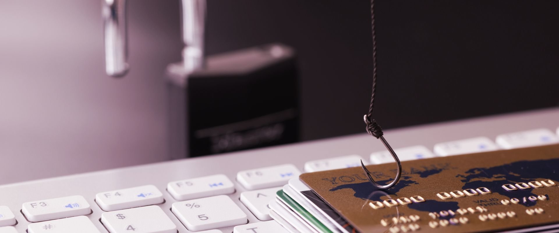 Fraude: o que é e os tipos | Blog Premium