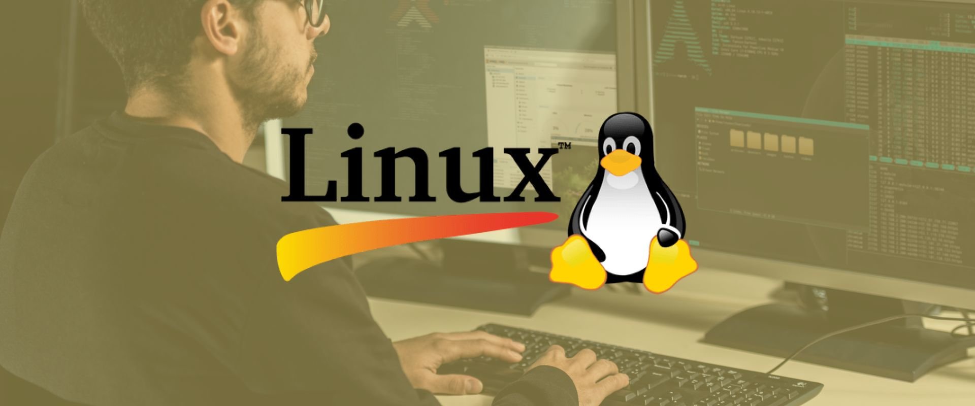 Entenda a diferença entre Linux, MacOS e Windows