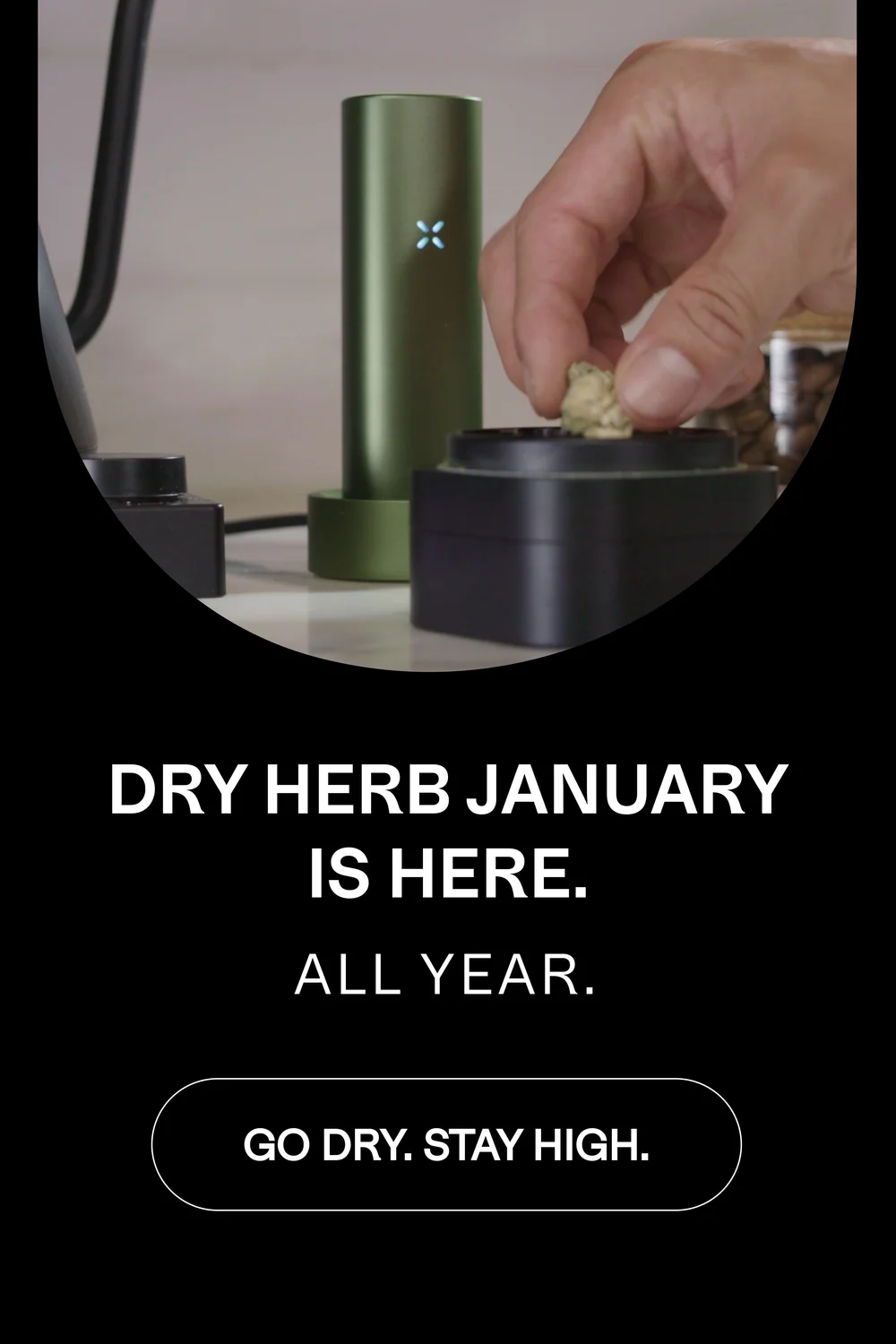 PAX | Dry Herb January