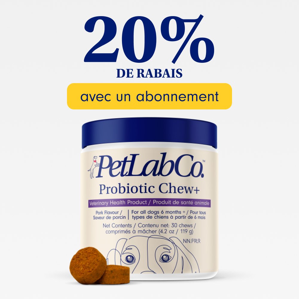 Bouchée probiotique pour les chiens | Maintient la flore intestinale en ...