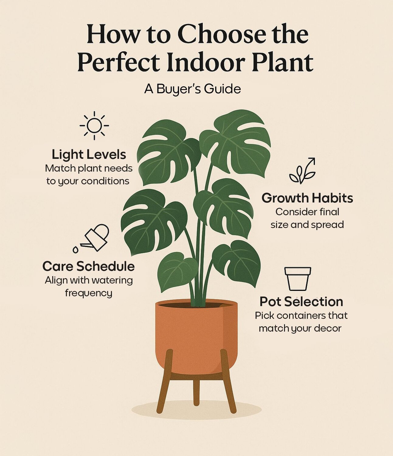 How to Choose the Perfect Indoor Plant: A Buyer’s Guide