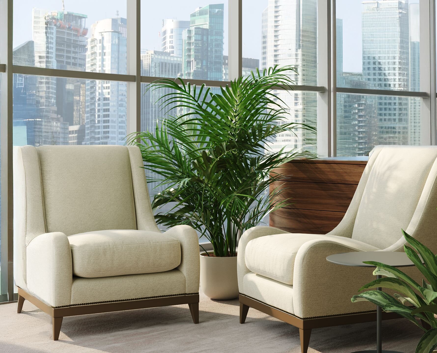 Top 5 Small Office Desk Plants for Productivity and Elegance | easyplant
