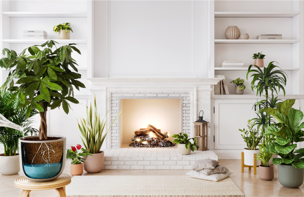 easyplant: Easy-Care Self-Watering Plants