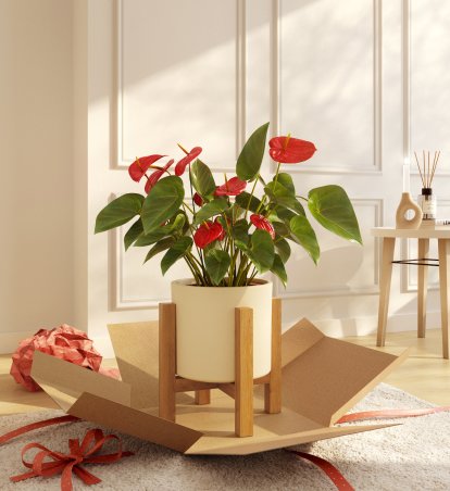 easyplant: Easy-Care Self-Watering Plants