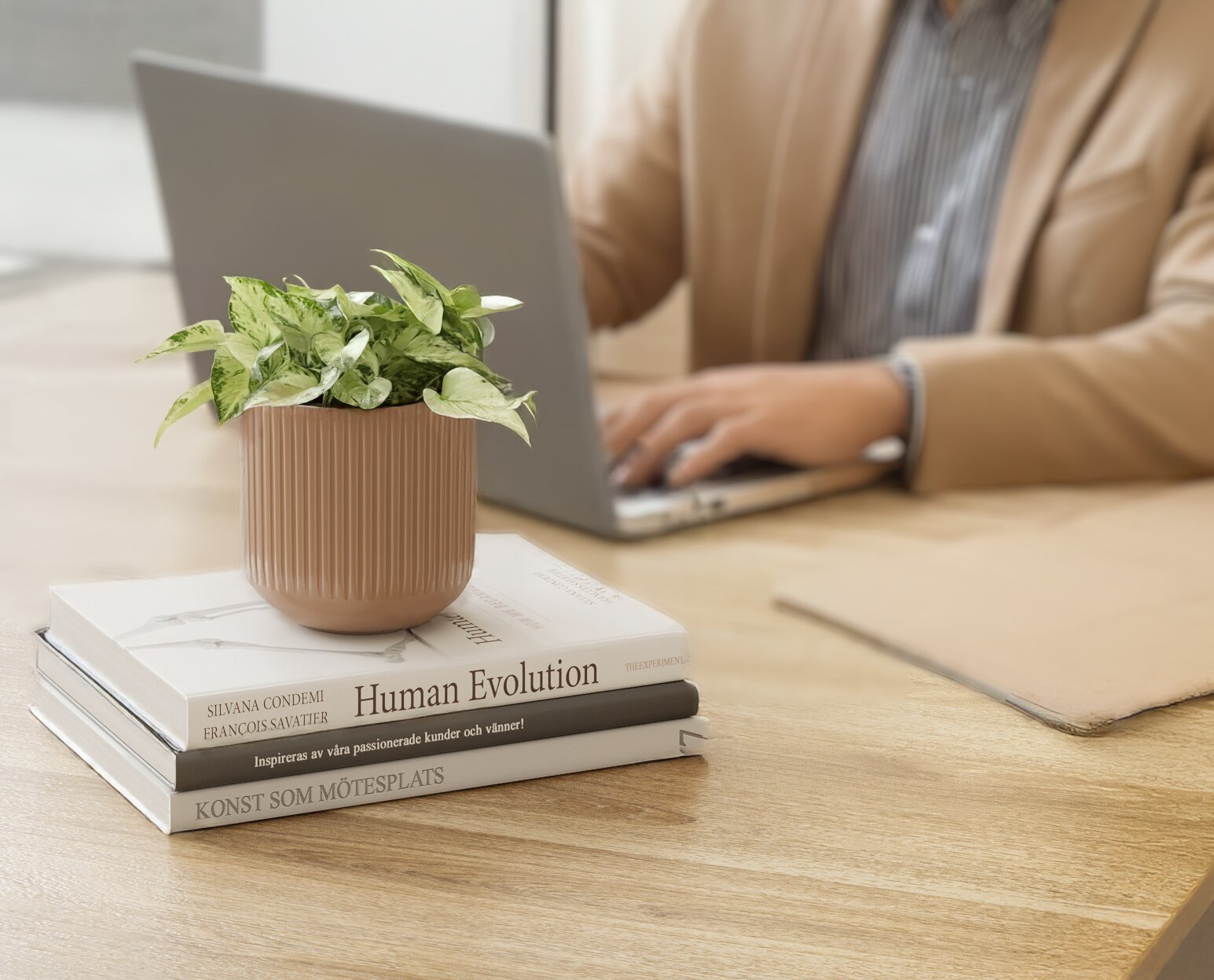 Top 5 Small Office Desk Plants for Productivity and Elegance | easyplant
