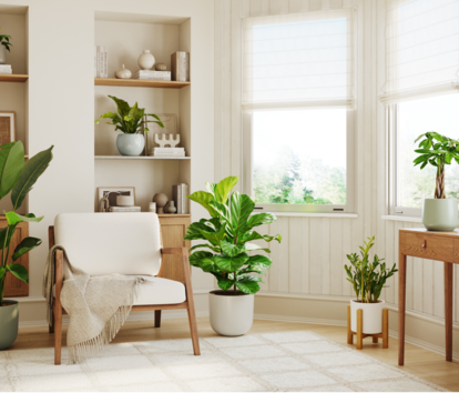easyplant: Easy-Care Self-Watering Plants