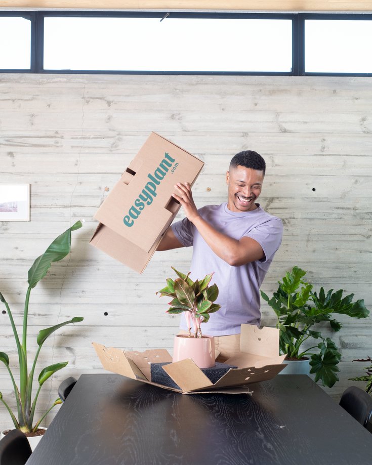 The Ultimate Plant Gift Guide | easyplant