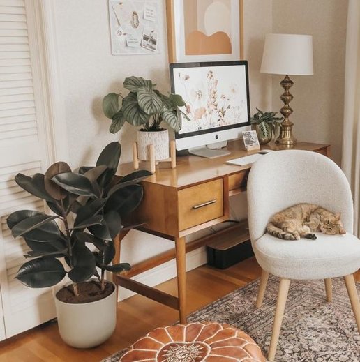 easyplant: Easy-Care Self-Watering Plants