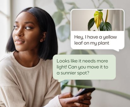 easyplant: Easy-Care Self-Watering Plants