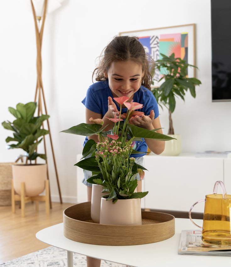 The Ultimate Plant Gift Guide | easyplant